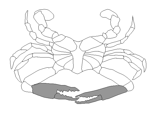Information and Tips on Crab and Crab Meat Grades